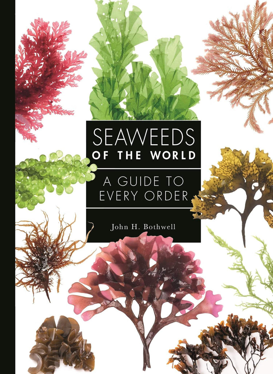 Buy Seaweeds of the World: A Guide to Every Order – The Chart & Map Shop