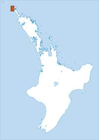Buy AT24 Cape Reinga Topographic Map by Land Information New Zealand ...