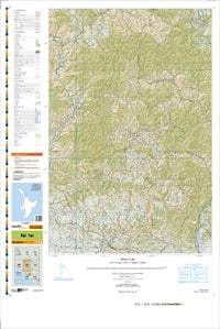 Buy BK32 Kai Iwi Topographic Map by Land Information New Zealand (2009 ...