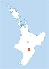 Buy BK36 Taoroa Junction Topographic Map by Land Information New ...