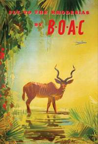 Buy Vintage Travel Poster: Visit Rhodesia – The Chart & Map Shop