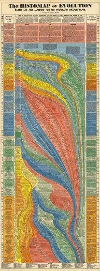 Buy 1942 Histomap of Evolution – The Chart & Map Shop