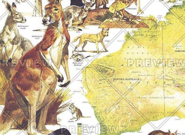 Buy Australia, Land of Living Fossils-Published 1979 Wall Map by ...