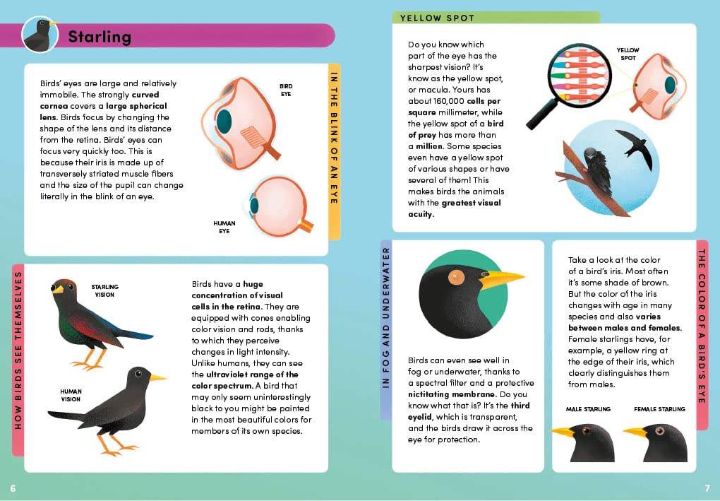 Buy How Do Animals See? – The Chart & Map Shop
