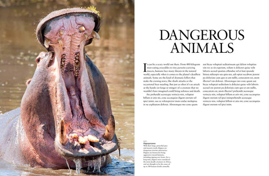 Buy Dangerous Animals: The World's Most Deadly Creatures – The Chart ...