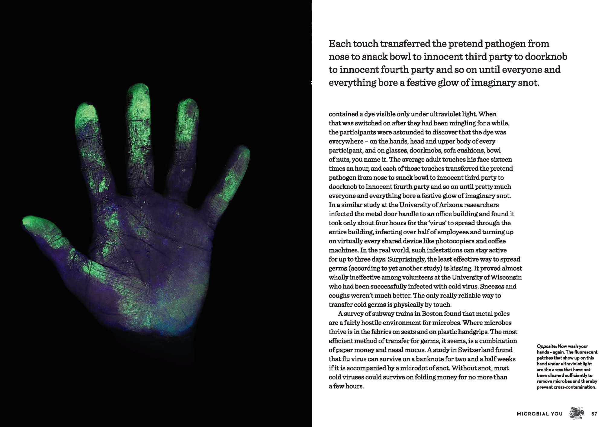 Buy The Body - Illustrated: A Guide for Occupants by Bill Bryson – The ...