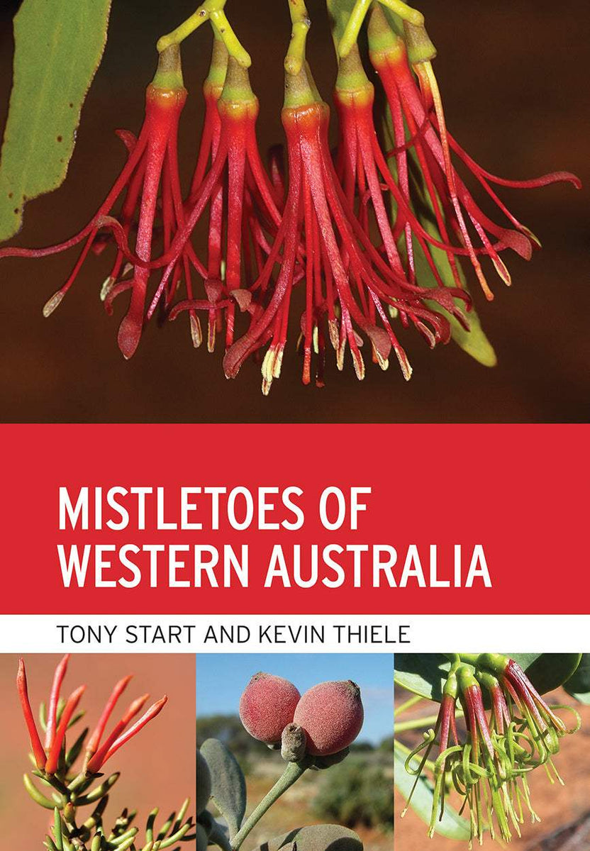 Buy Mistletoes of Western Australia – The Chart & Map Shop