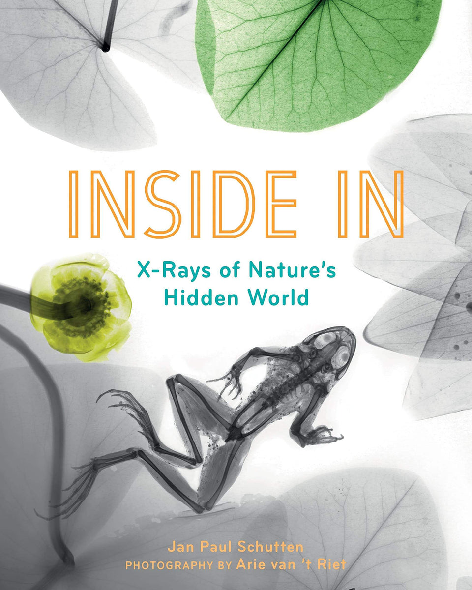 Buy Inside In: X-Rays of Nature's Hidden World – The Chart & Map Shop