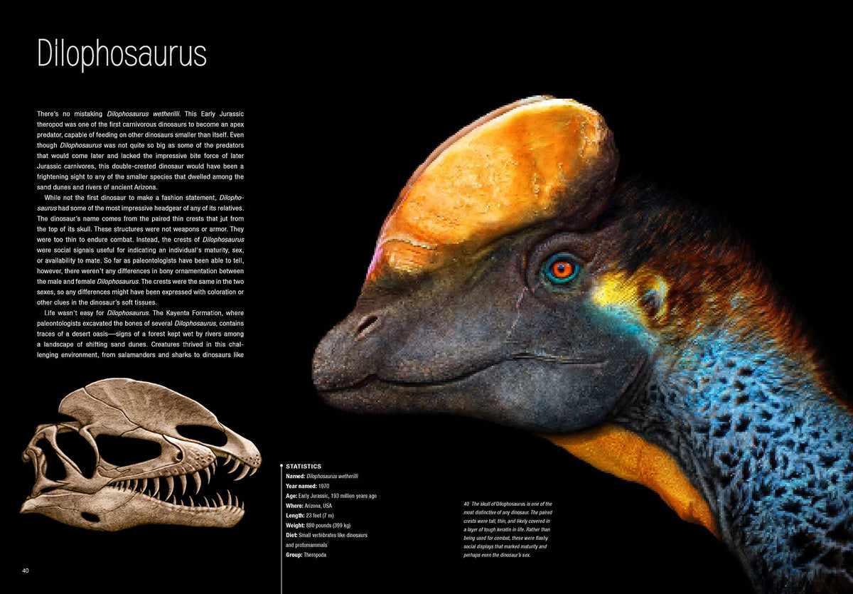 Buy Dinosaurs: Profiles from a Lost World – The Chart & Map Shop
