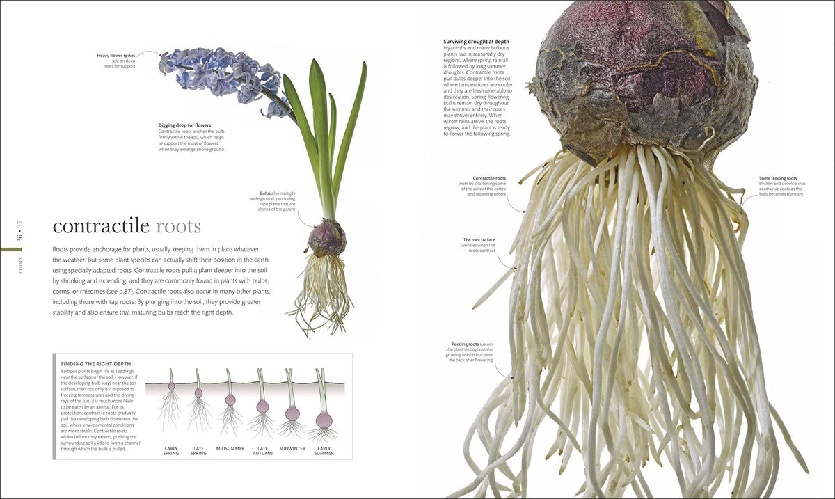 Buy The Science of Plants: Inside their Secret World – The Chart & Map Shop