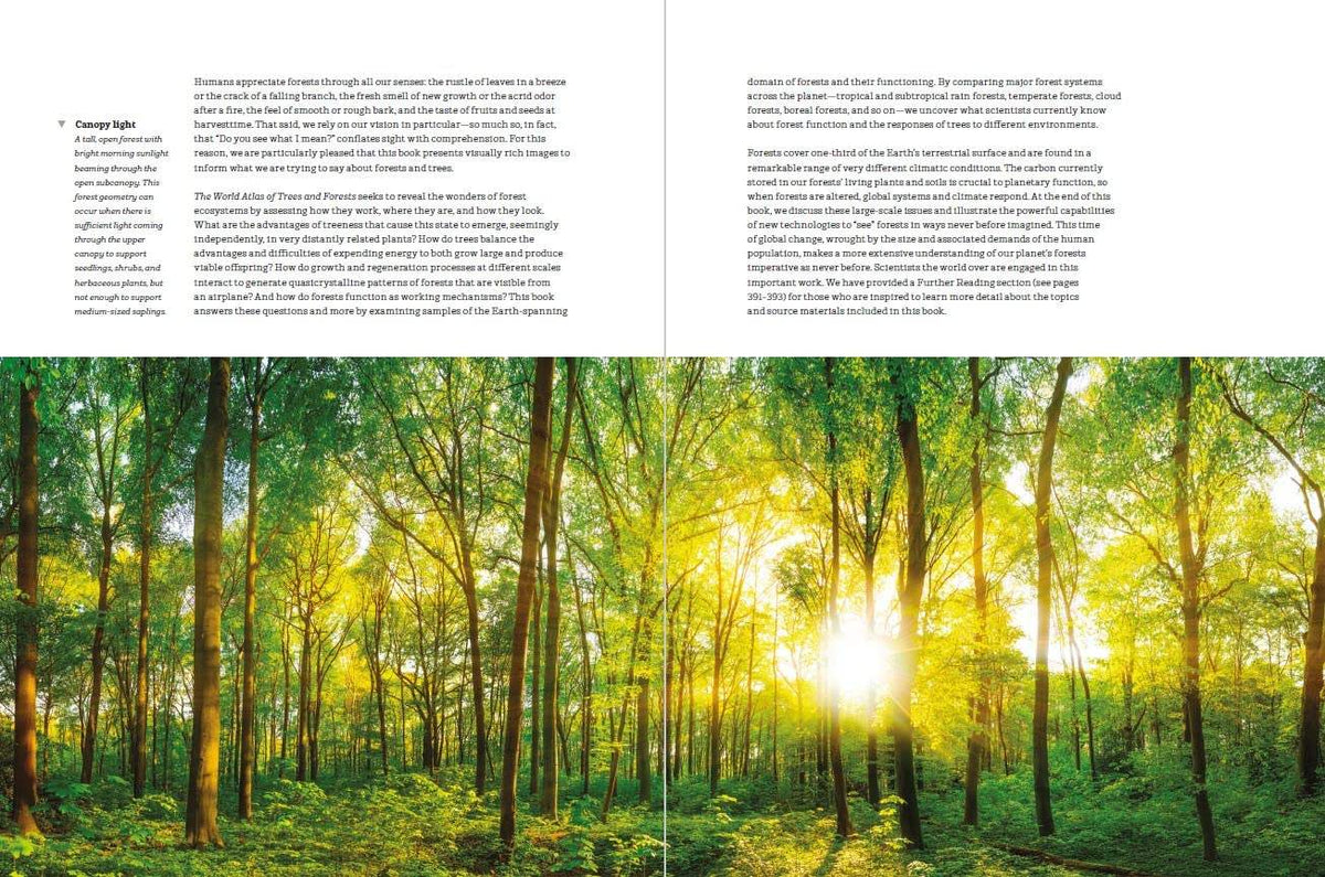 Buy The World Atlas of Trees and Forests: Exploring Earth's Forest ...
