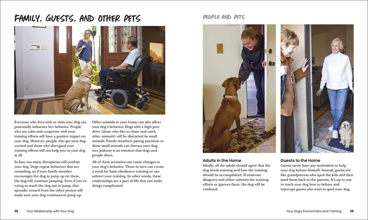 Buy How to Train Your Dog: A Relationship-Based Approach for a Well ...