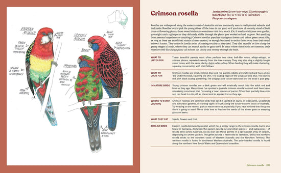 Buy 100 Australian Birds – The Chart & Map Shop