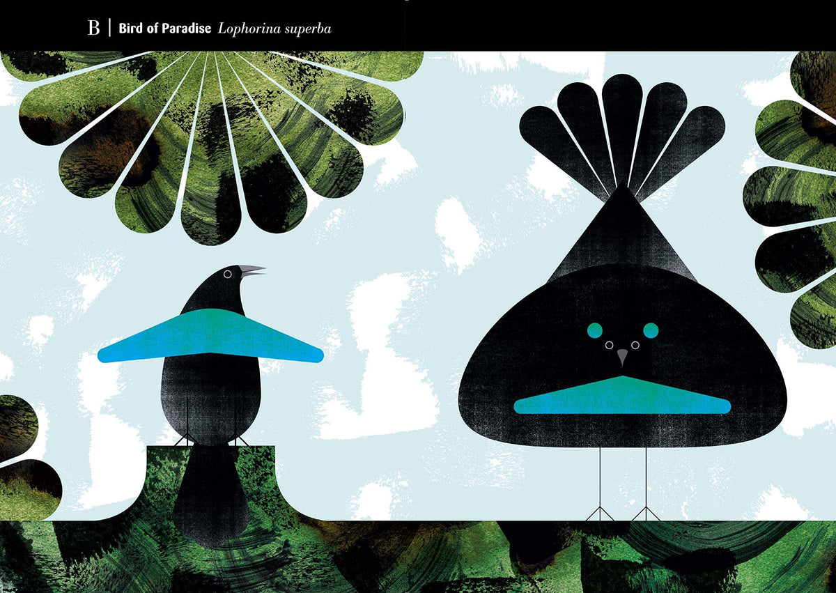 Buy The Curious Explorer's Illustrated Guide to Exotic Animals A to Z ...