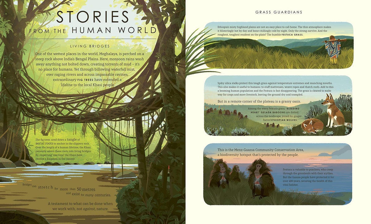 Buy The Green Planet – The Chart & Map Shop