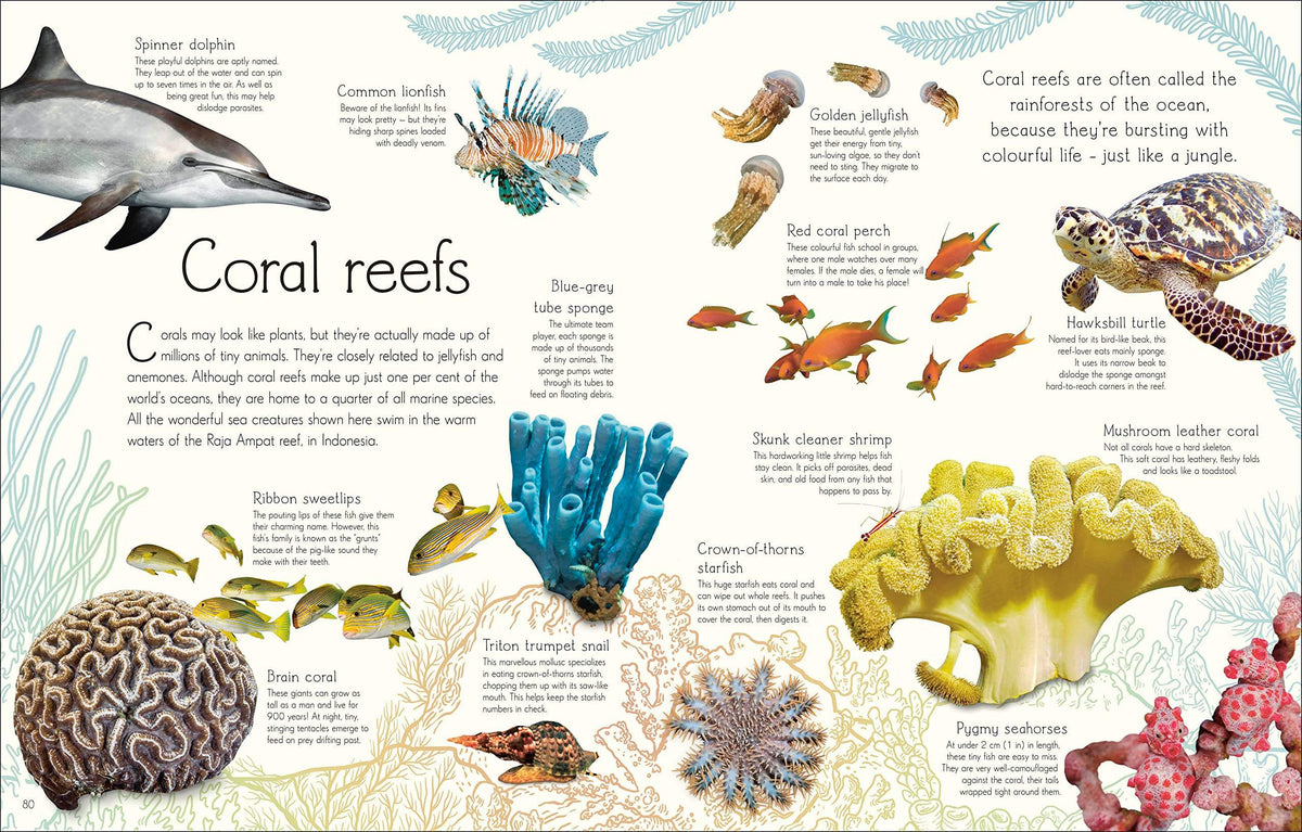 Buy An Anthology of Aquatic Life – The Chart & Map Shop