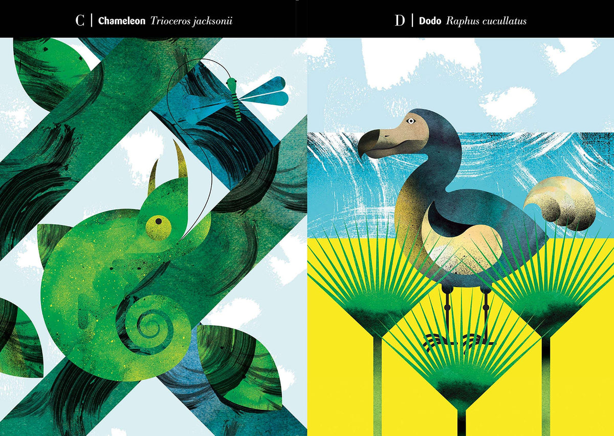 Buy The Curious Explorer's Illustrated Guide to Exotic Animals A to Z ...