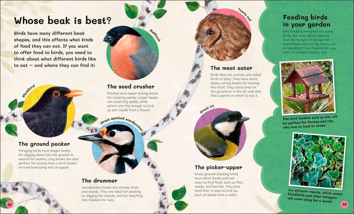 Buy The Children's Book of Birdwatching: Nature-Friendly Tips for ...