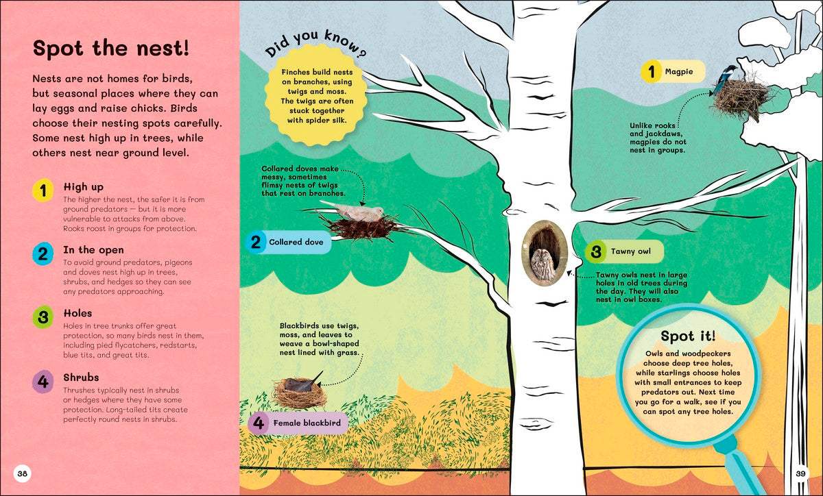 Buy The Children's Book of Birdwatching: Nature-Friendly Tips for ...
