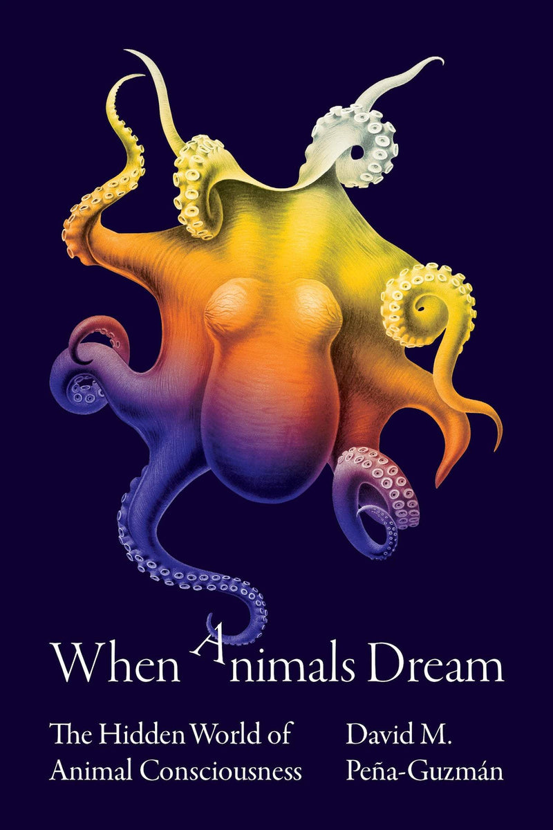 Buy When Animals Dream: The Hidden World of Animal Consciousness – The ...