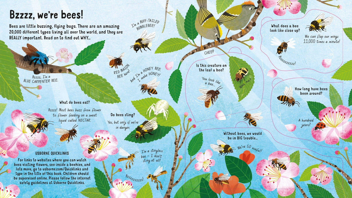 Buy Look Inside The World of Bees – The Chart & Map Shop