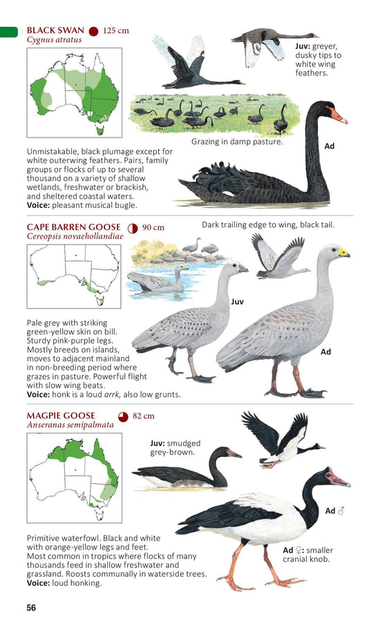 Buy The Compact Australian Bird Guide – The Chart & Map Shop