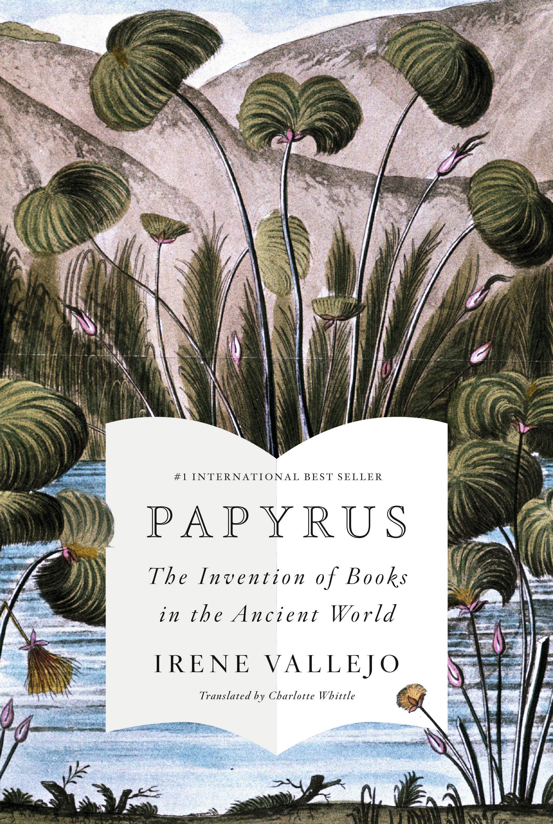 Buy Papyrus: The Invention of Books in the Ancient World – The Chart ...