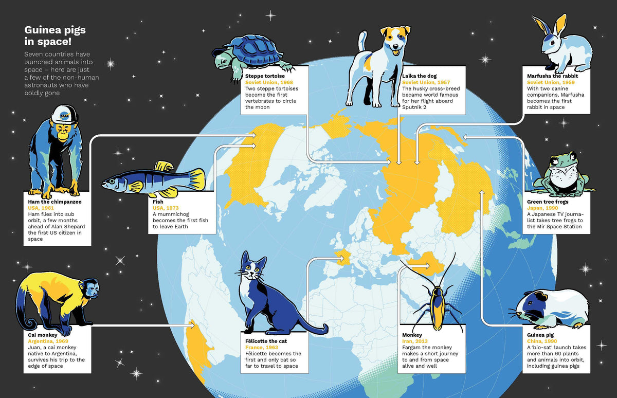 Buy Wild Maps: A Nature Atlas for Curious Minds – The Chart & Map Shop