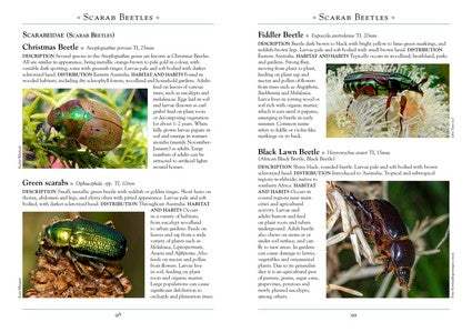 Buy A Naturalist's Guide to the Insects of Australia – The Chart & Map Shop