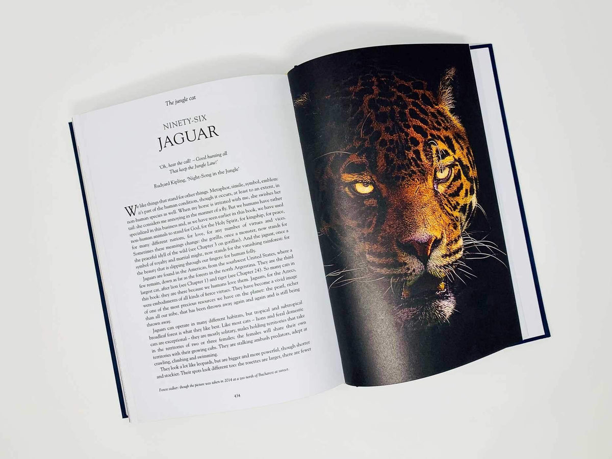 Buy The History of the World in 100 Animals – The Chart & Map Shop