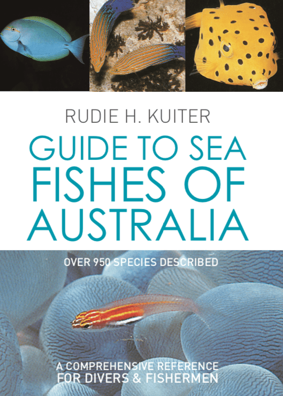 Buy Guide to Sea Fishes of Australia: A Comprehensive Reference for ...